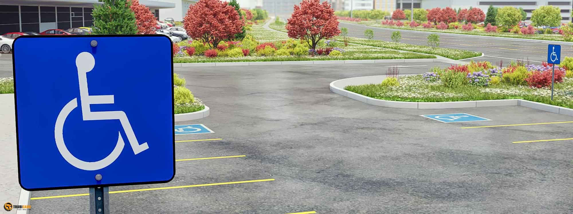 Guide And Information Sign | Trubicars Driving Schools